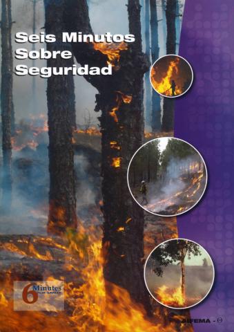 Libros Esenciales para la Prevención y Gestión de Incendios Forestales ...